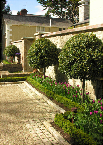 Paul Doyle Garden Designer - Avoca Garden